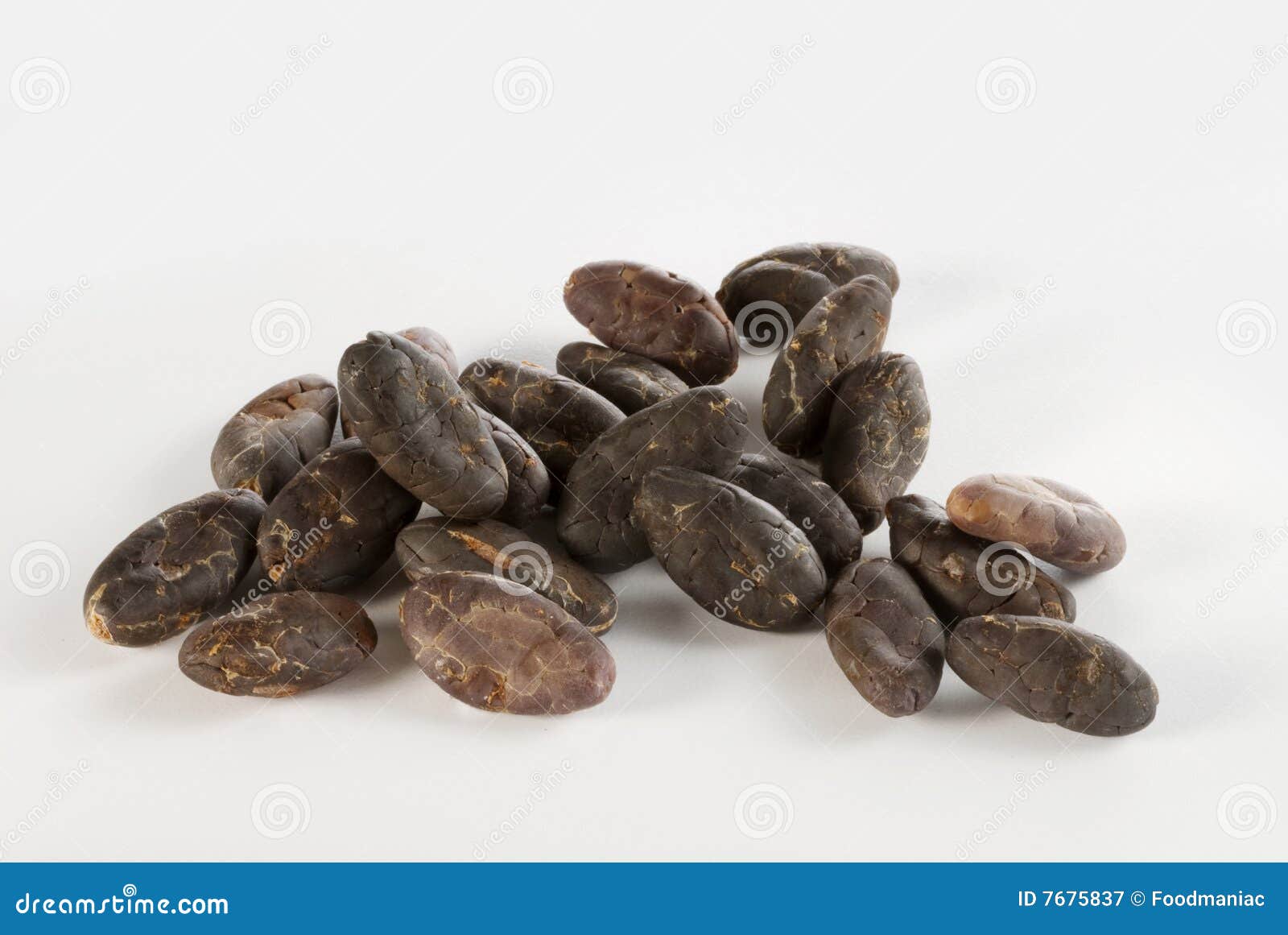 Cocoa beans stock image. Image of heap, outline, beans - 7675837