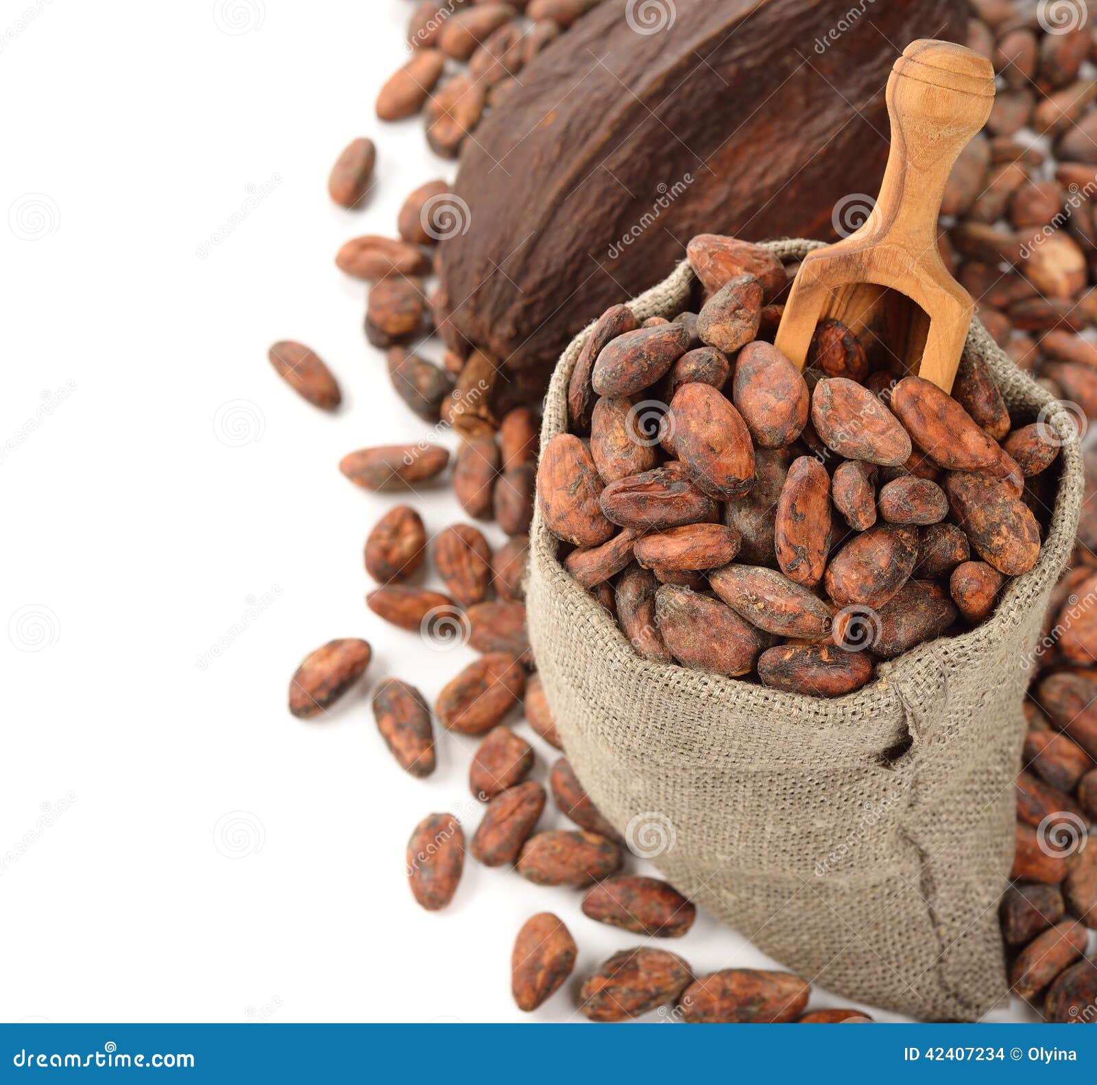Cocoa beans in a bag stock photo. Image of chocolate - 42407234