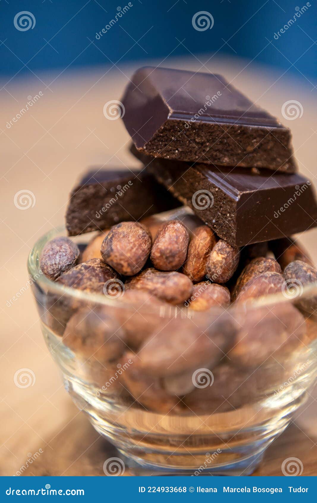 Cocoa beans and chocolate stock photo. Image of gourmet - 224933668