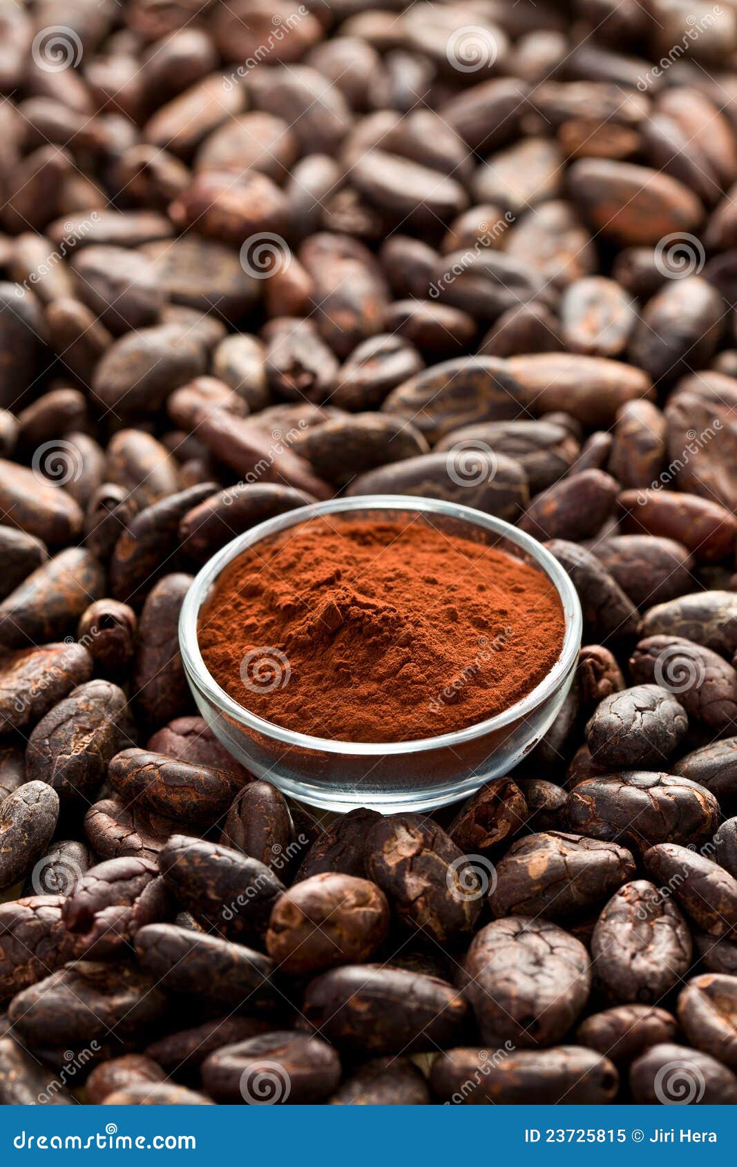 Cocoa Beans and Cocoa Powder Stock Image - Image of cacao, nutritive ...