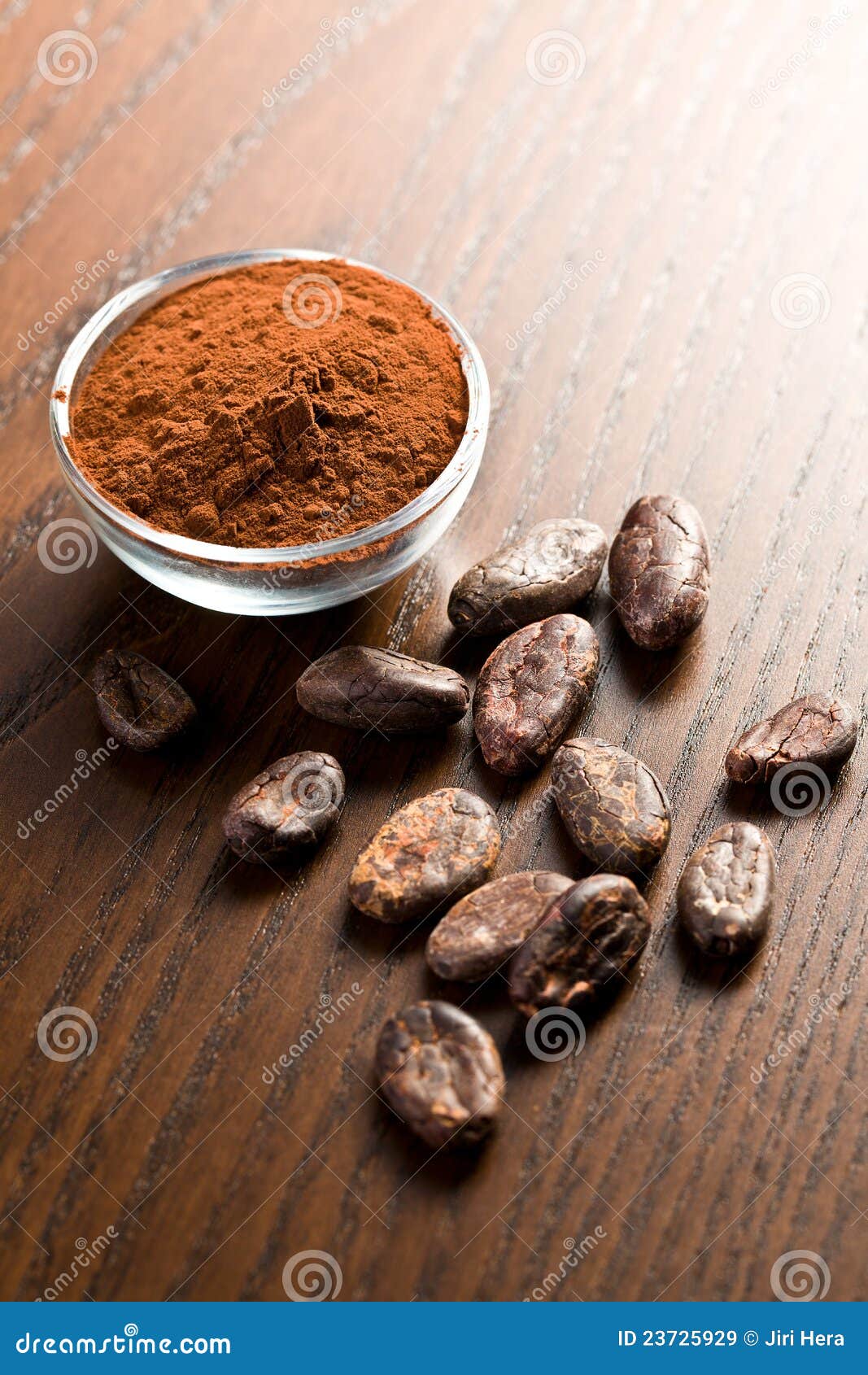 Cocoa Beans and Cocoa Powder Stock Image - Image of dark, nutritive ...