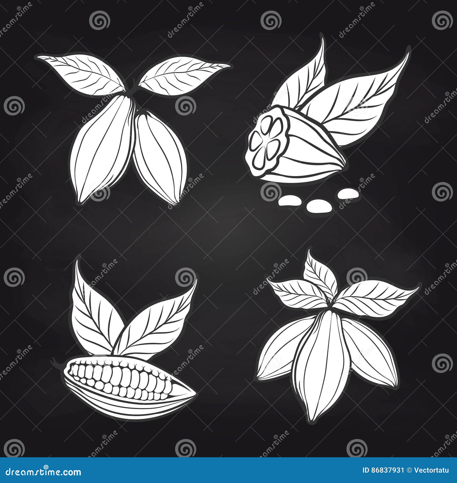 Cocoa Beans with Leaves on Blackboard Stock Vector - Illustration of ...