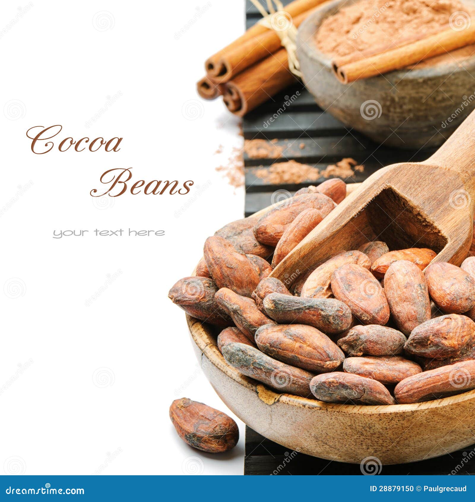 Cocoa beans and powder stock photo. Image of border, bowl - 28879150