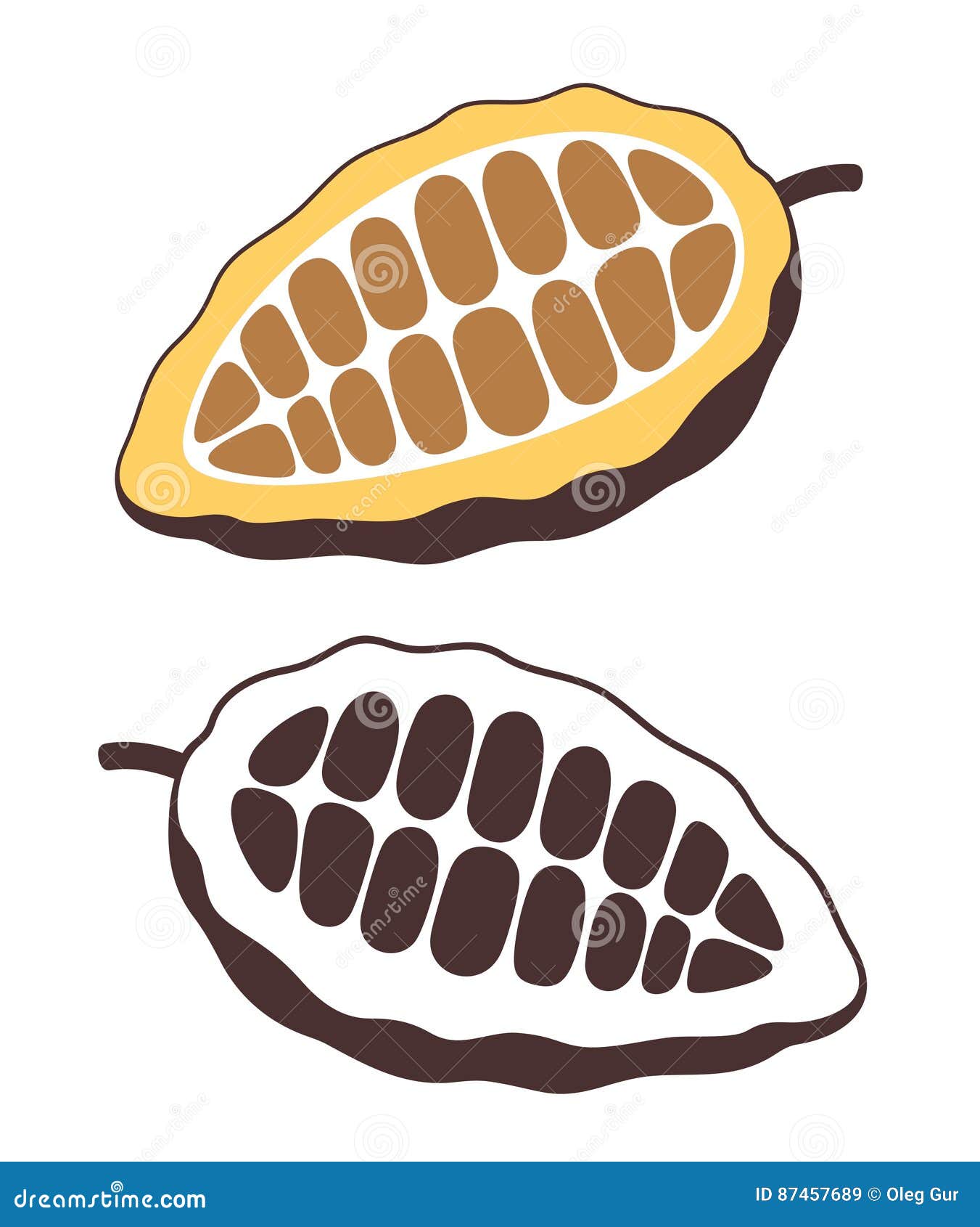 Cocoa beans. Vector stock illustration. Illustration of branch - 87457689