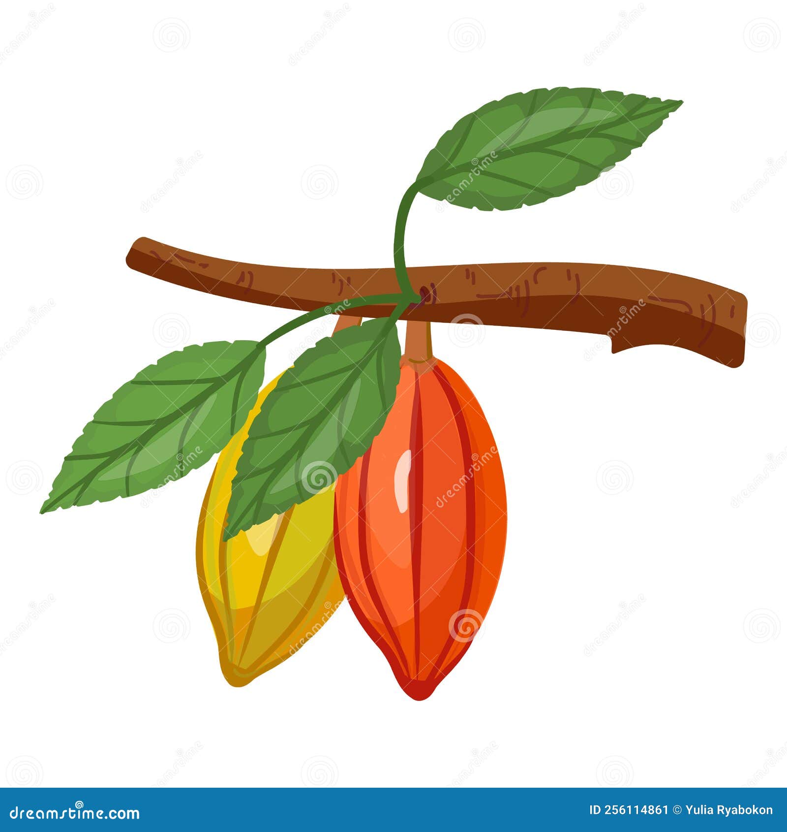 Cocoa Branch Icon Cartoon Vector. Tree Bean Stock Illustration ...