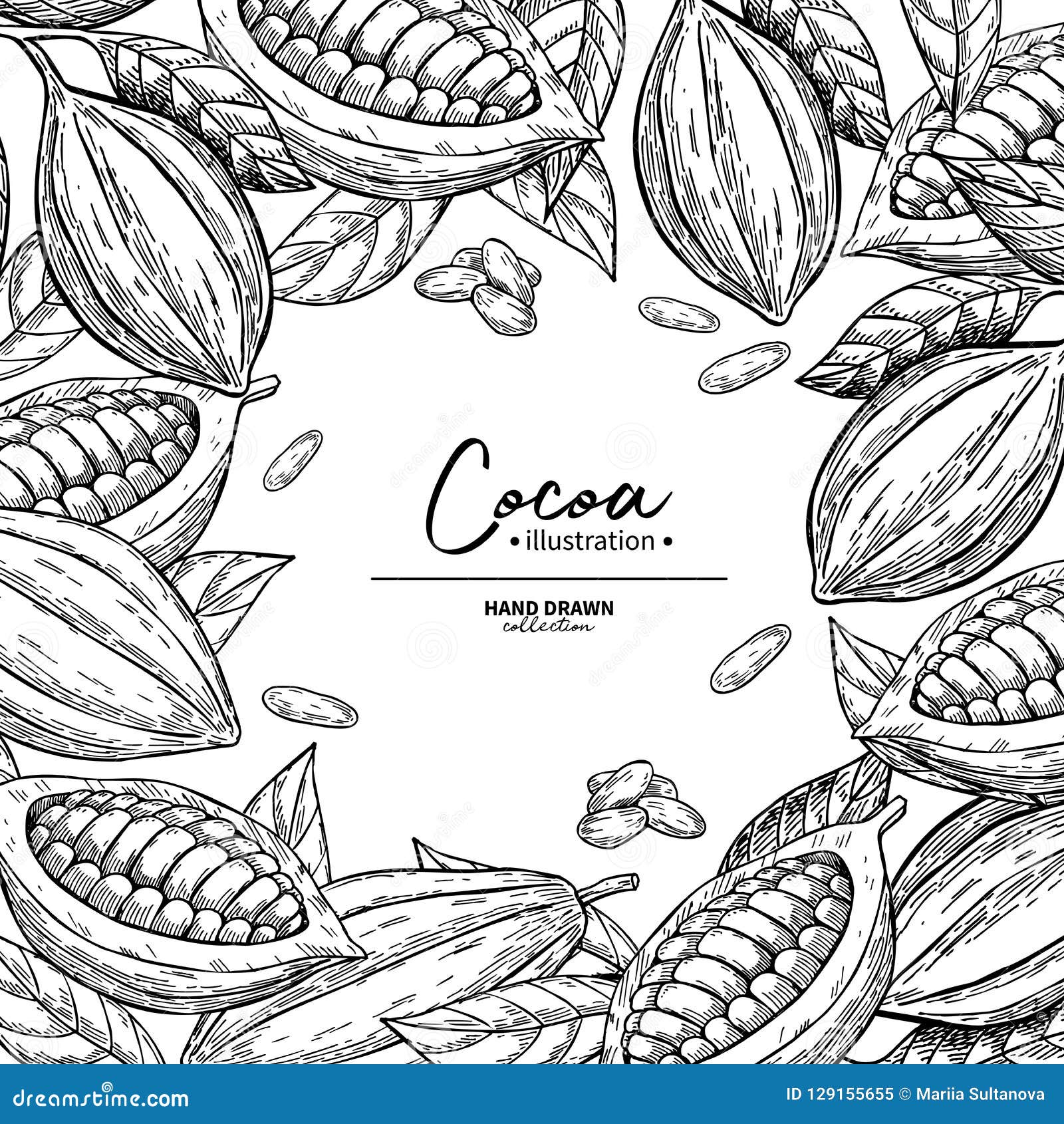 Cocoa Frame. Vector Superfood Drawing Template. Fruit, Leaf And ...
