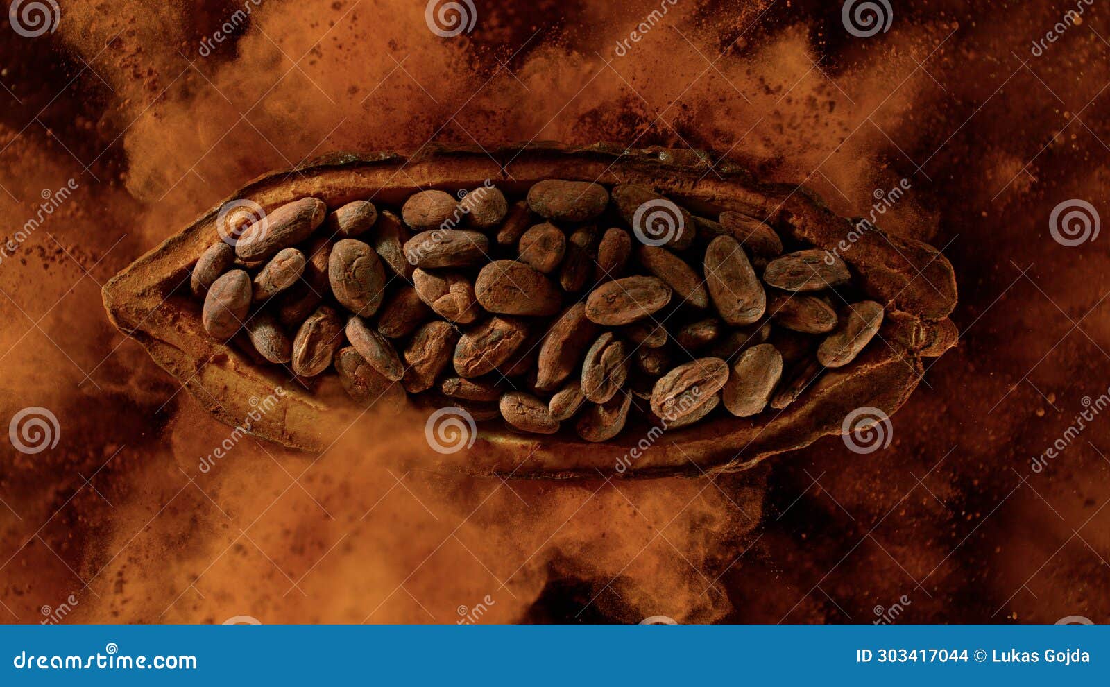 Cocoa Fruit with Cocoa Beans Exploding Stock Illustration ...