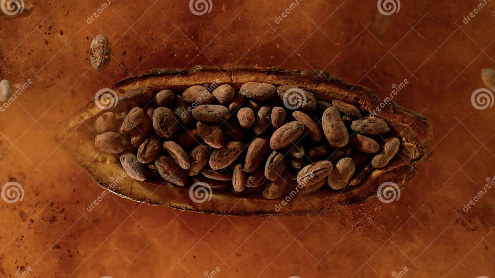 Cocoa Fruit with Cocoa Beans Exploding Stock Illustration ...