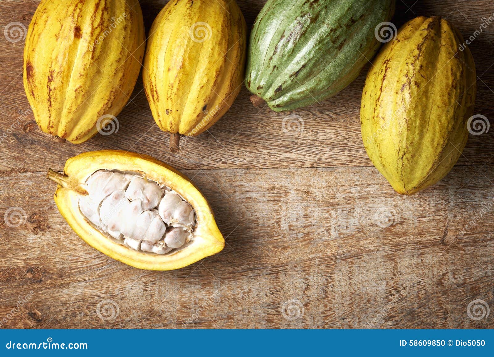Cocoa Fruit In A Cocoa Plantation In Higuey (Punta Cana, Dominican ...