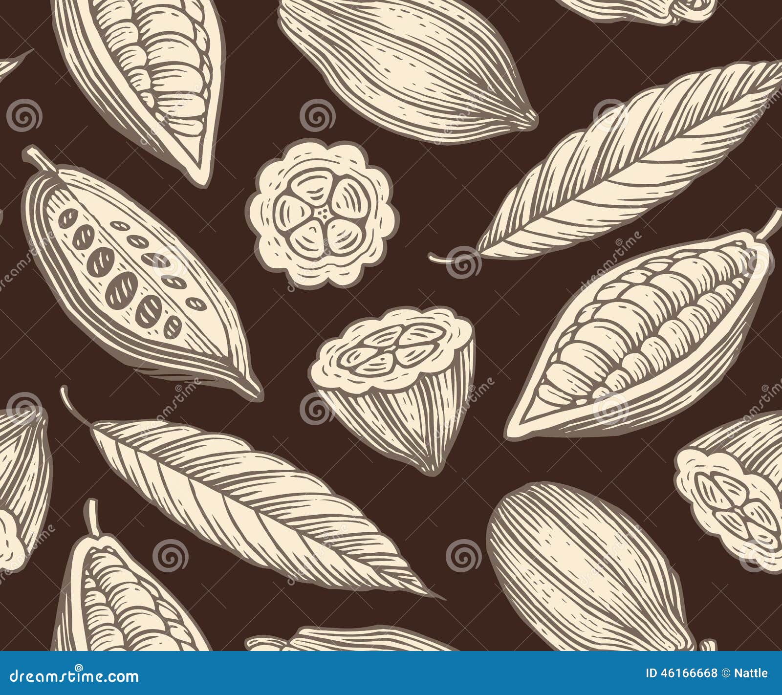Cocoa pattern stock vector. Illustration of drawn, nature - 46166668