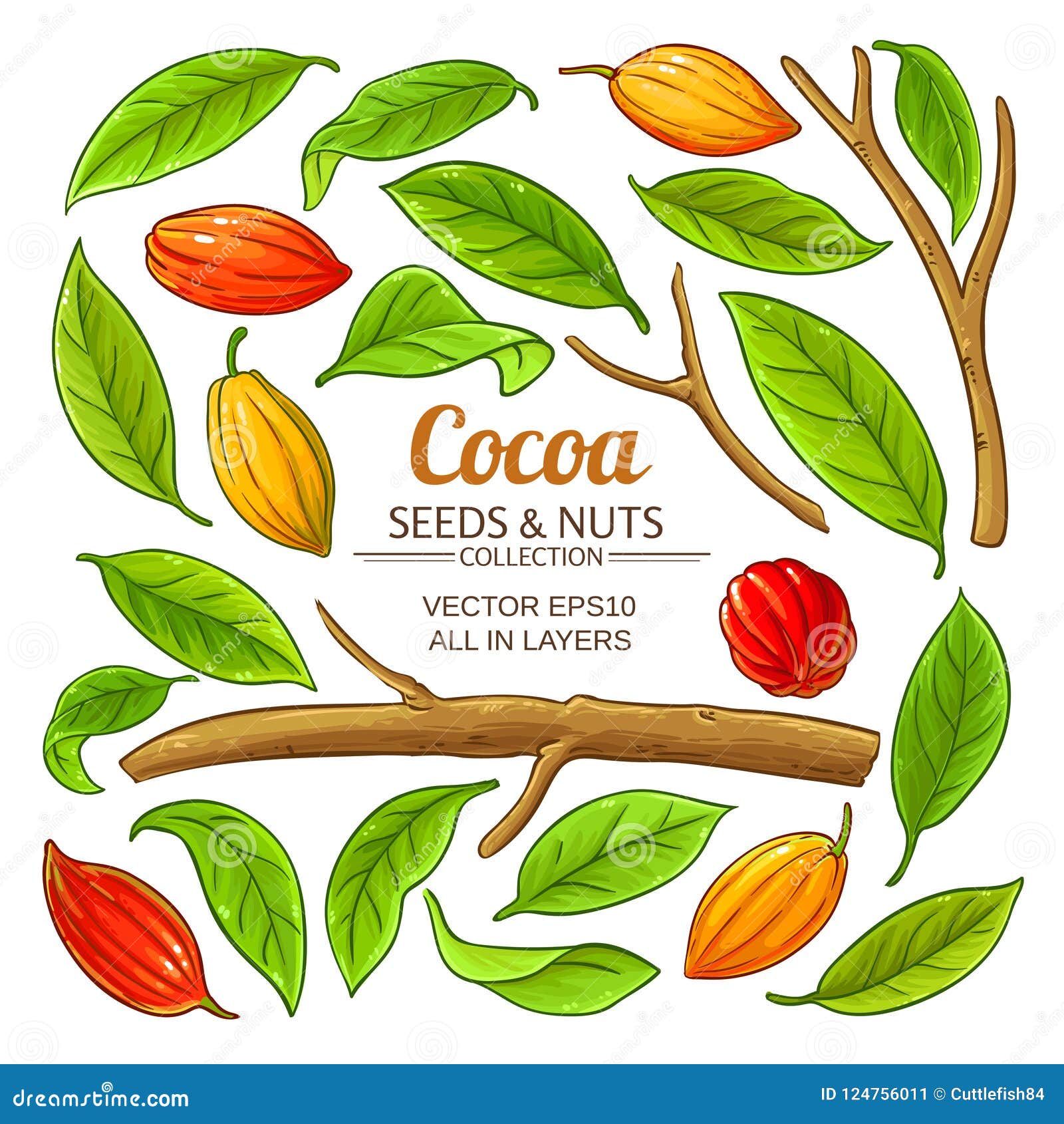 Cocoa plant vector stock vector. Illustration of element - 124756011