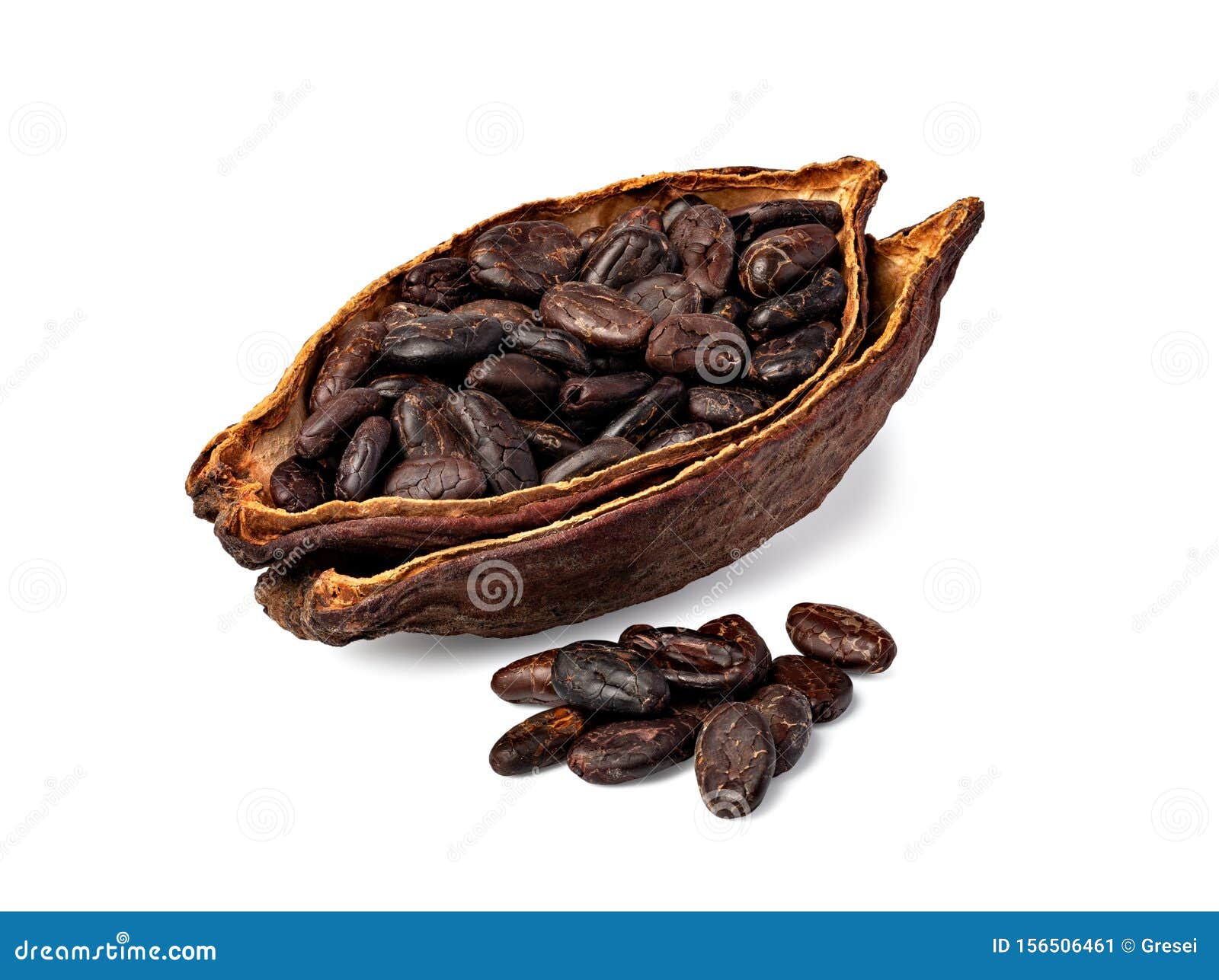 Cocoa pod stock image. Image of organic, ingredient - 156506461