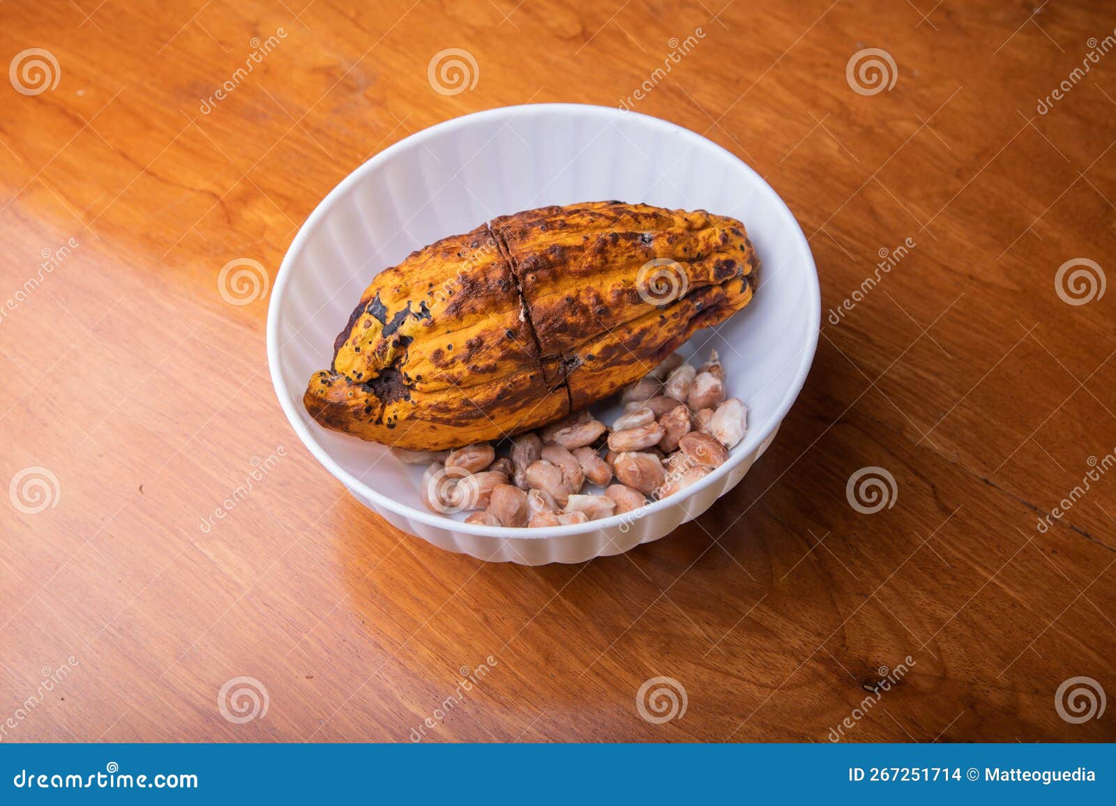 Cocoa Pod Inside a Bowl with the Beans Removed, Processing of the Beans ...