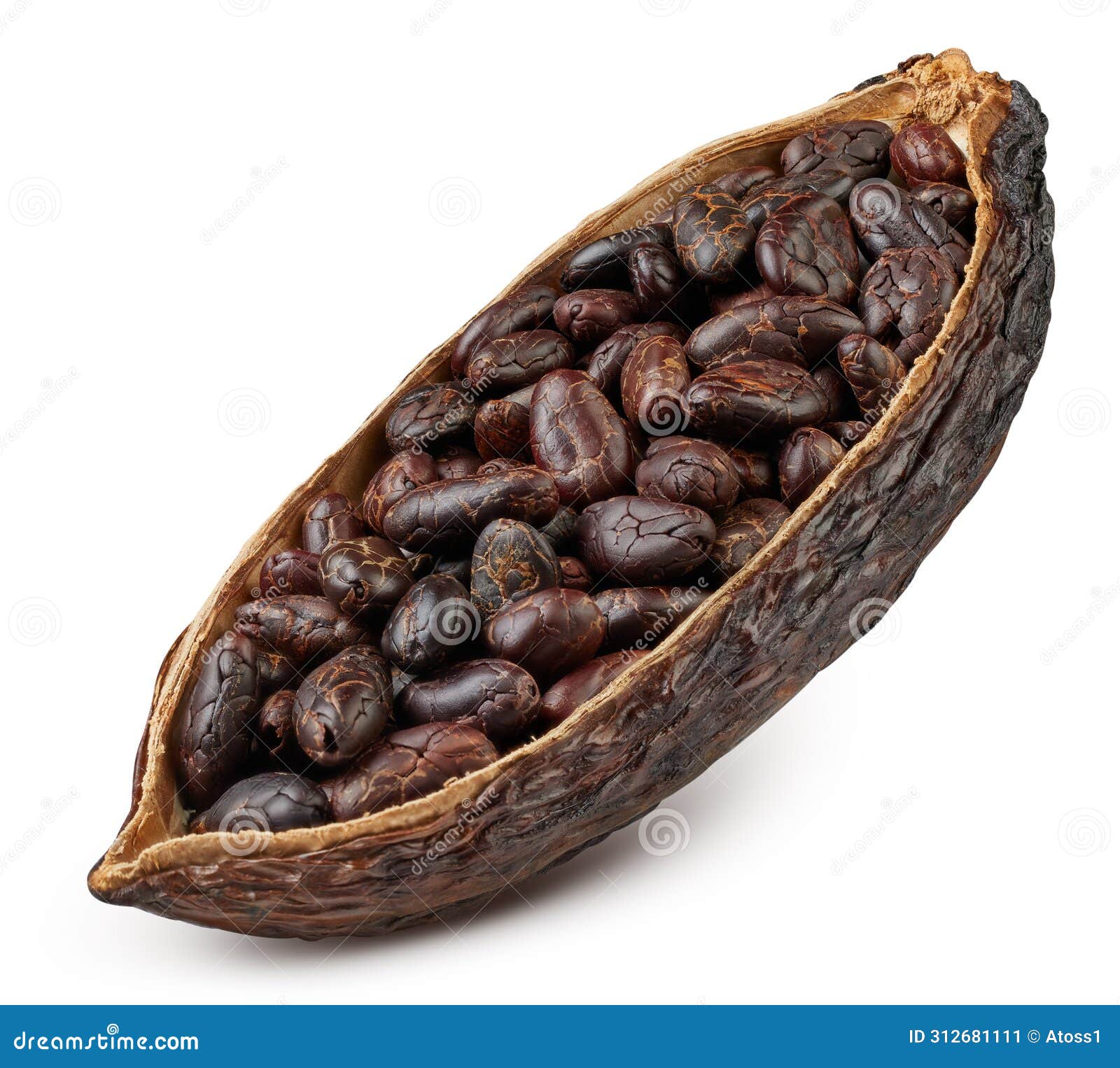 Cocoa Pod Isolated on White Background Stock Image - Image of fruit ...