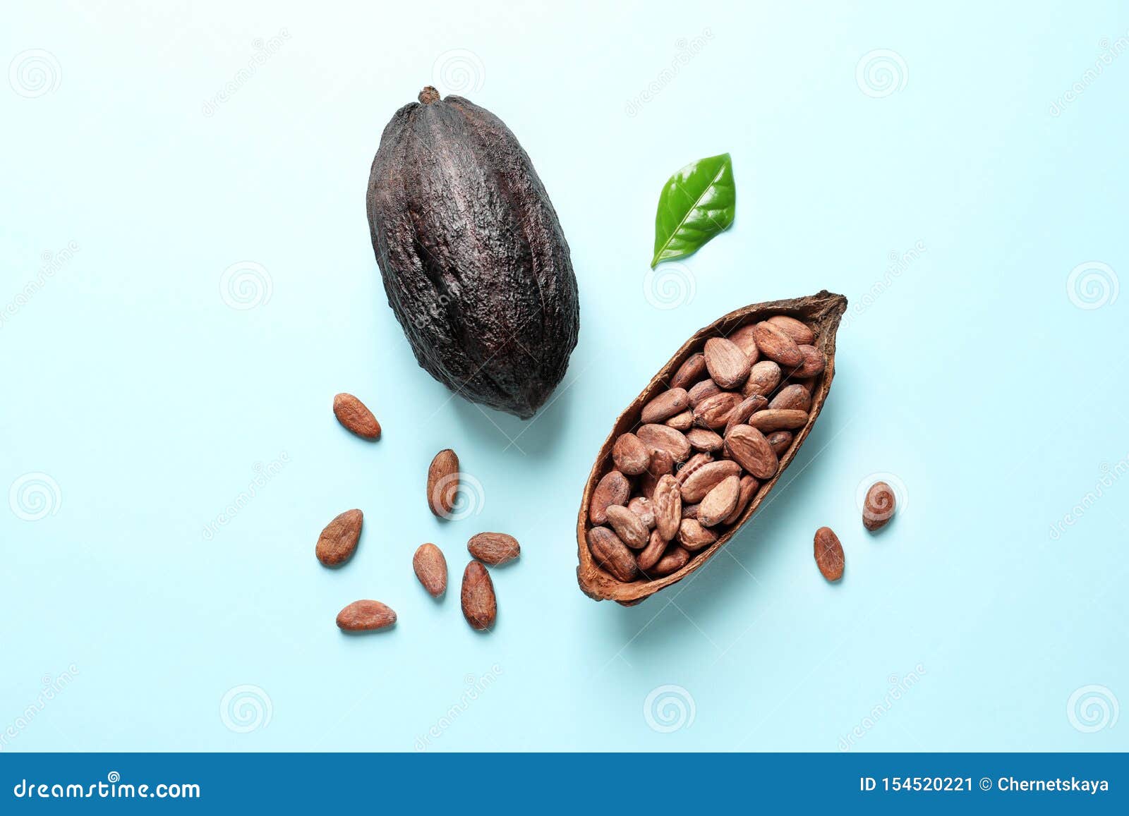 Cocoa Pods and Beans on Light Blue Background Stock Image - Image of ...