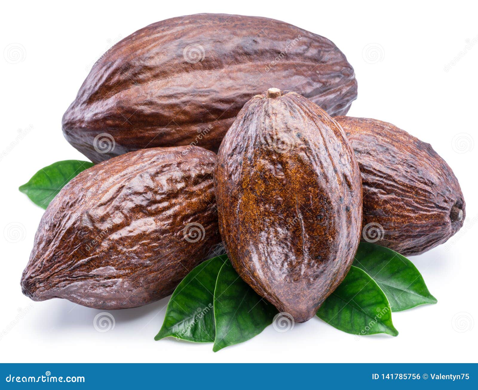Cocoa Pods with Cocoa Leaves Isolated on a White Background Stock Photo ...