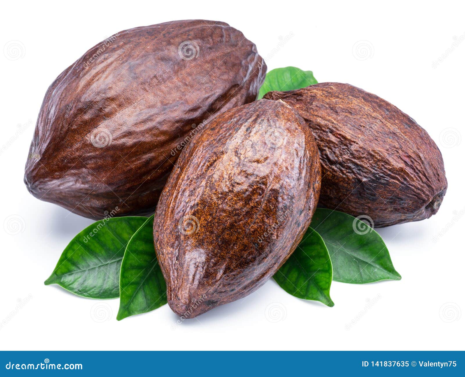 Cocoa Pods with Cocoa Leaves Isolated on a White Background Stock Image ...