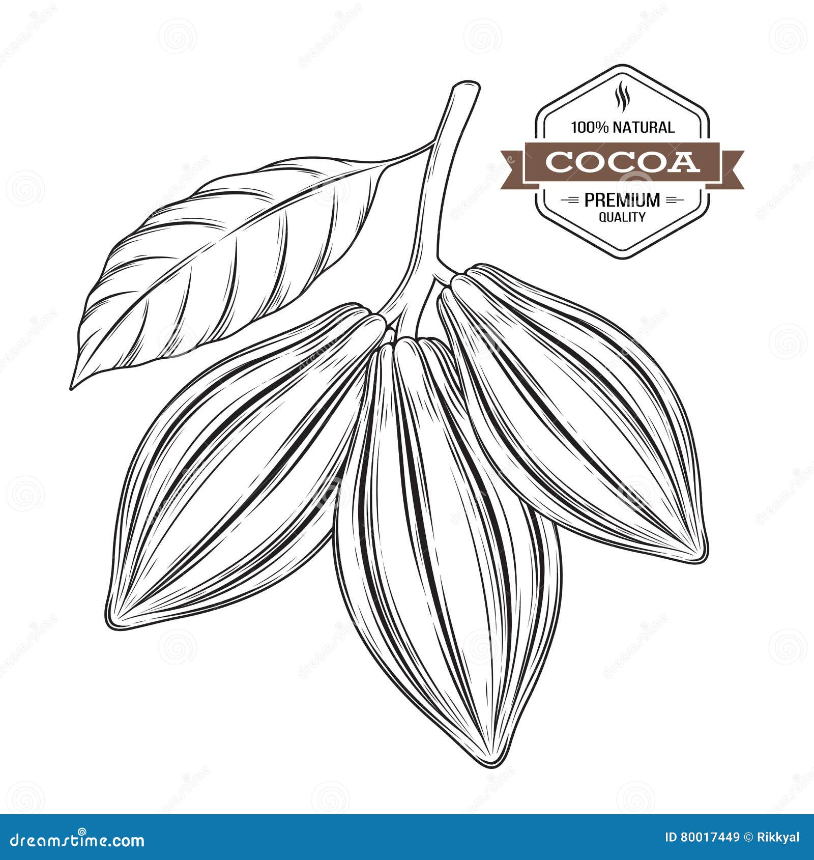 Cocoa Pods Vector Illustration. Cocoa Label, Emblem, Symbol ...