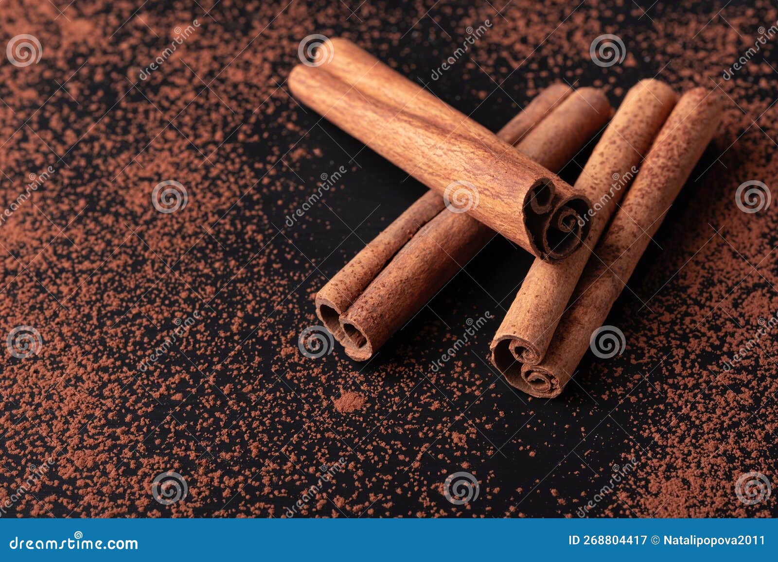Cocoa Powder and Cinnamon Sticks. Copy Space Stock Image - Image of ...