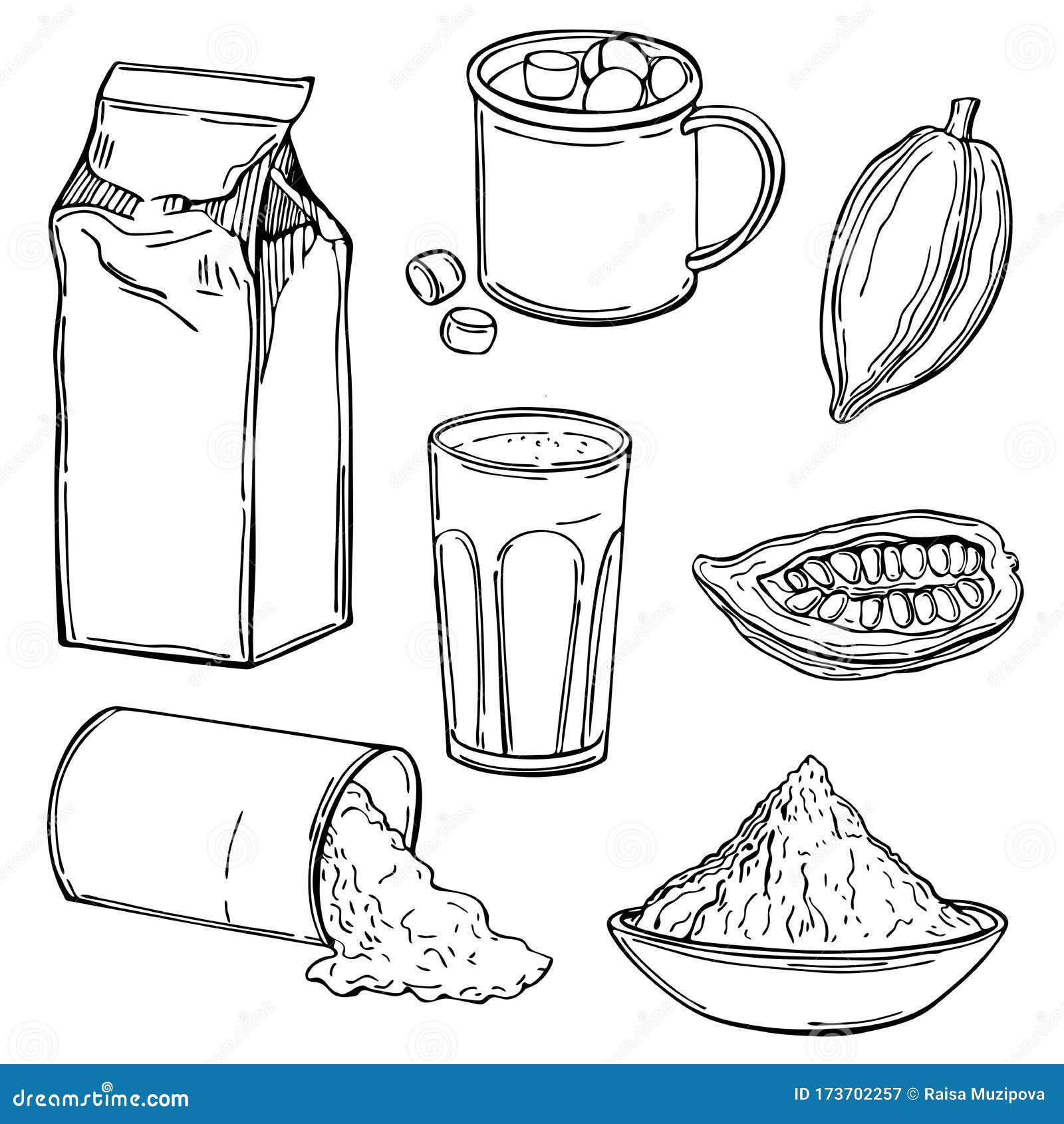 Cocoa Powder and Cocoa Drink. Vector Sketch Illustration Stock Vector ...
