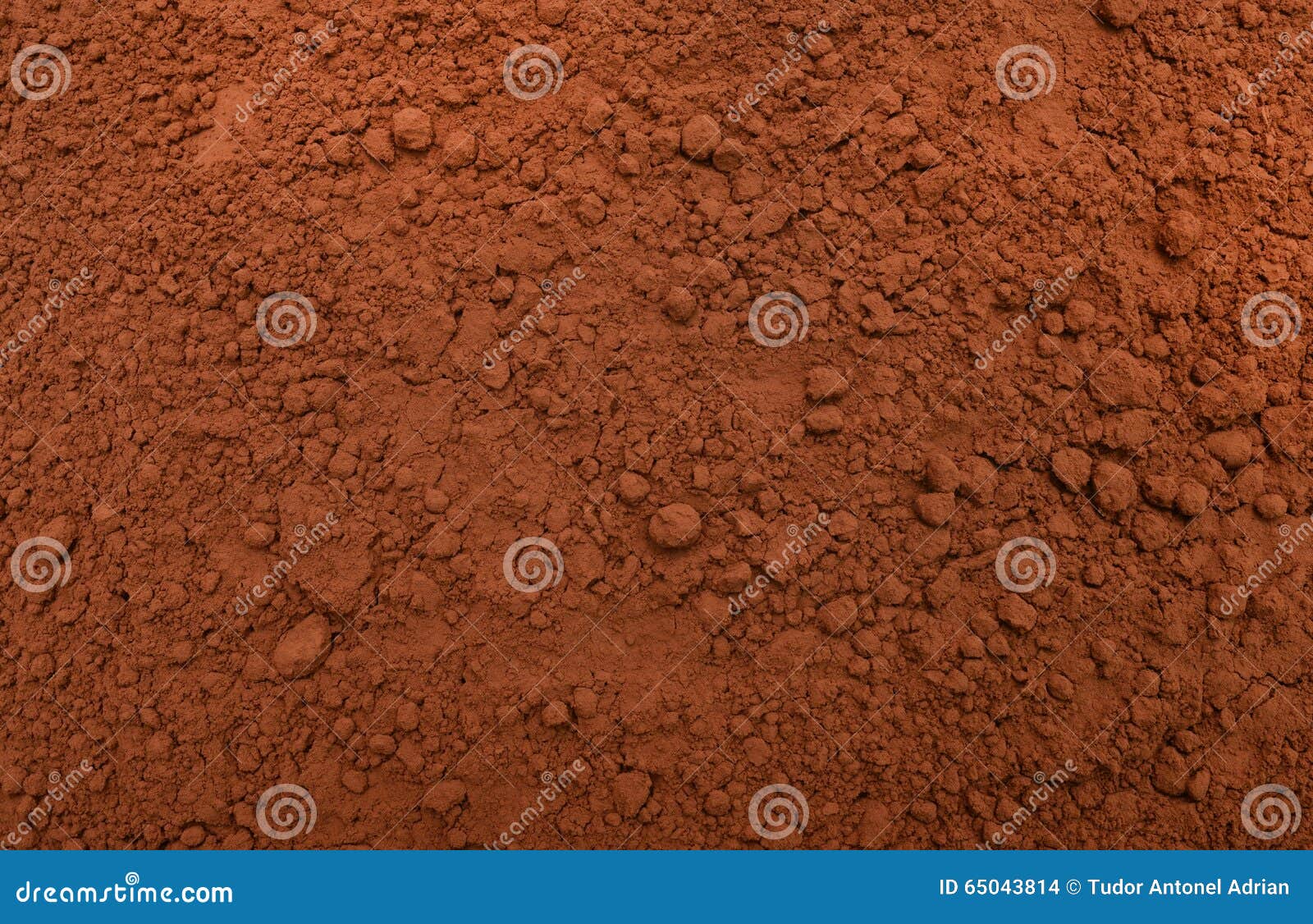 Cocoa powder texture stock photo. Image of pattern, plant - 65043814