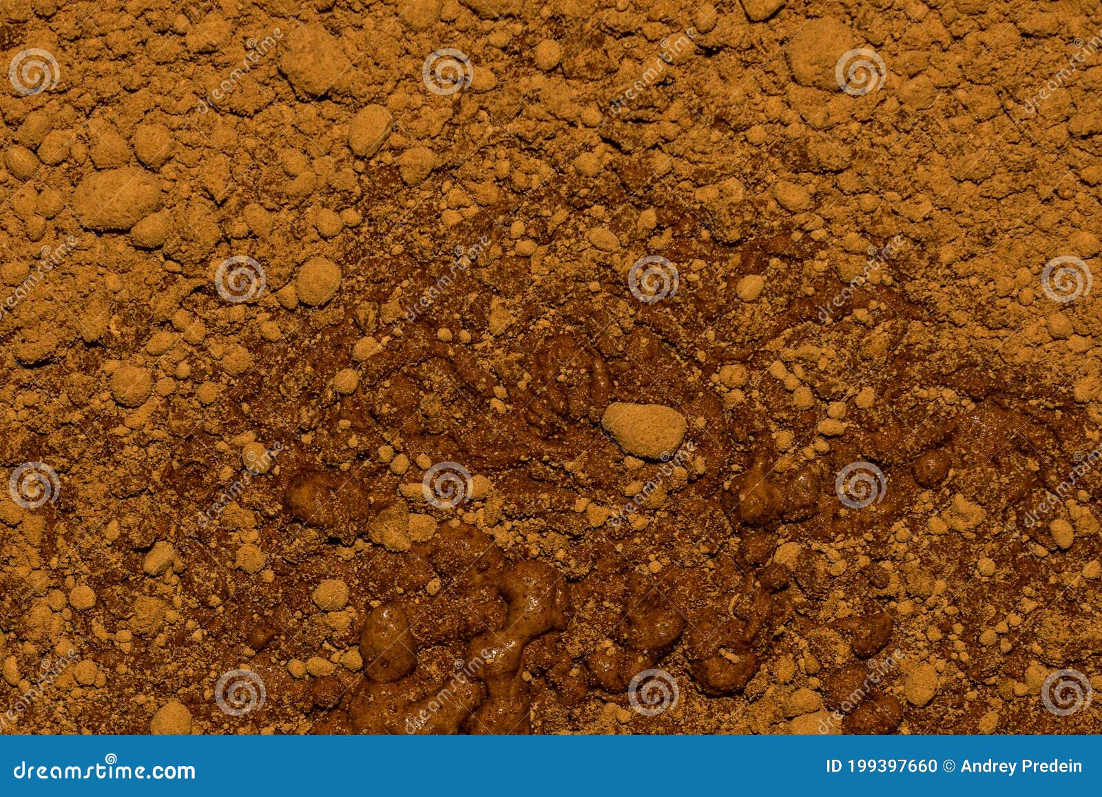 Cocoa Powder Top Close-up Background Stock Photo - Image of ground ...