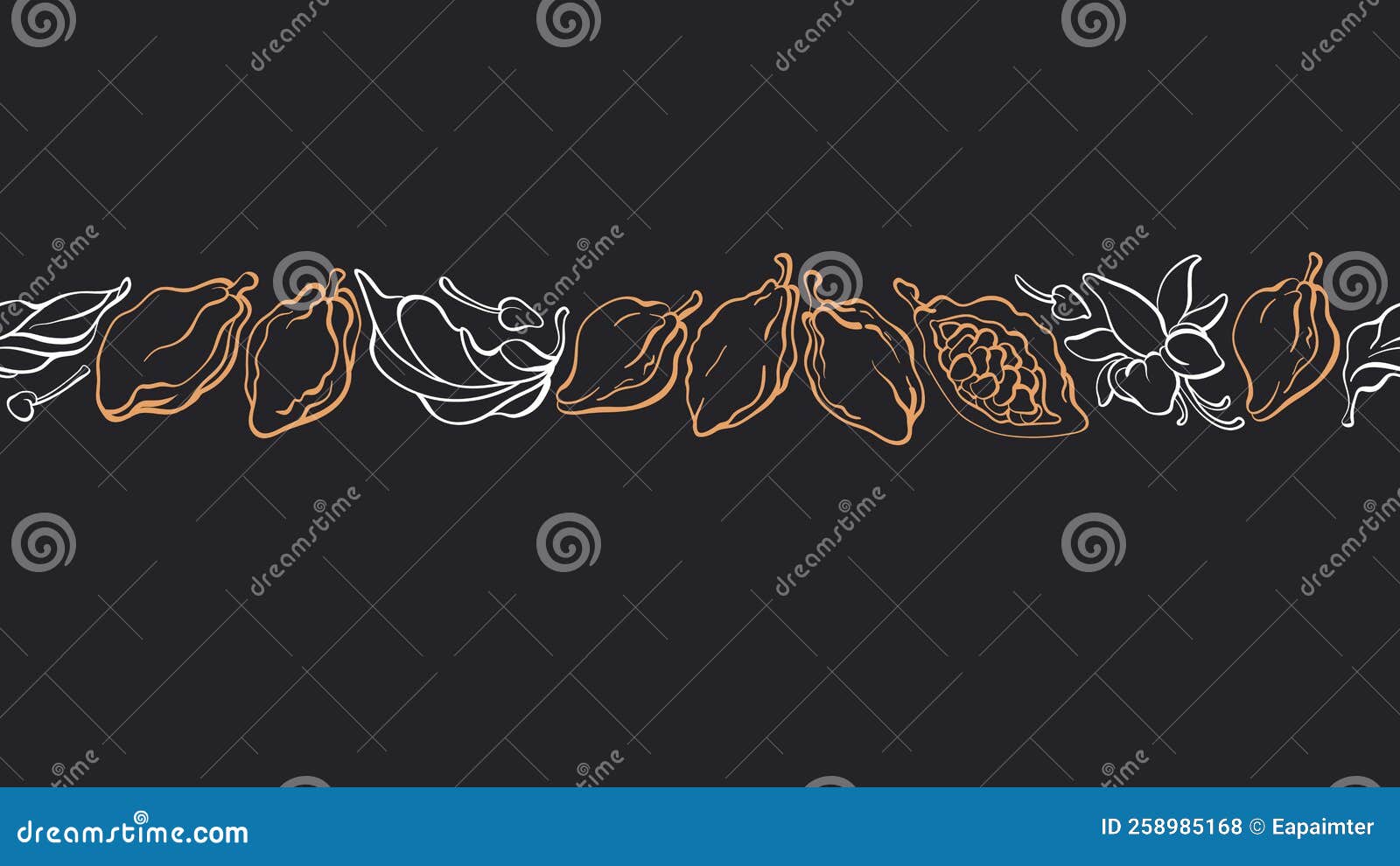 Cocoa Border. Vector Superfood Drawing Template. Fruit, Leaf An ...