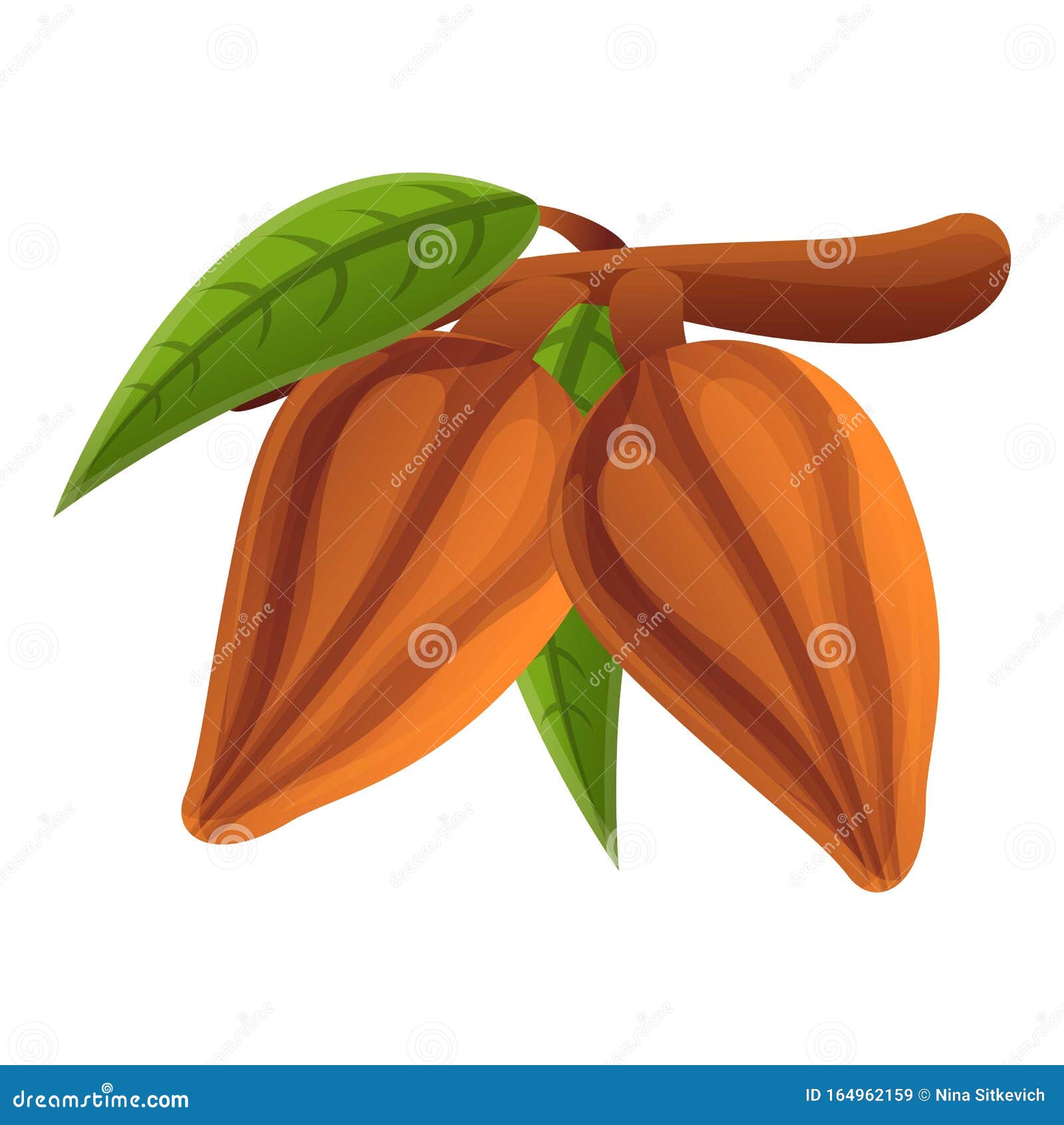 Cocoa Tree Branch Icon, Cartoon Style Stock Vector - Illustration of ...