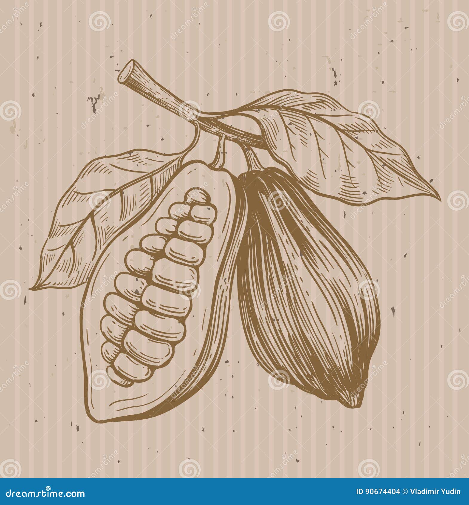 Cocoa vector symbol stock vector. Illustration of cocoa - 90674404