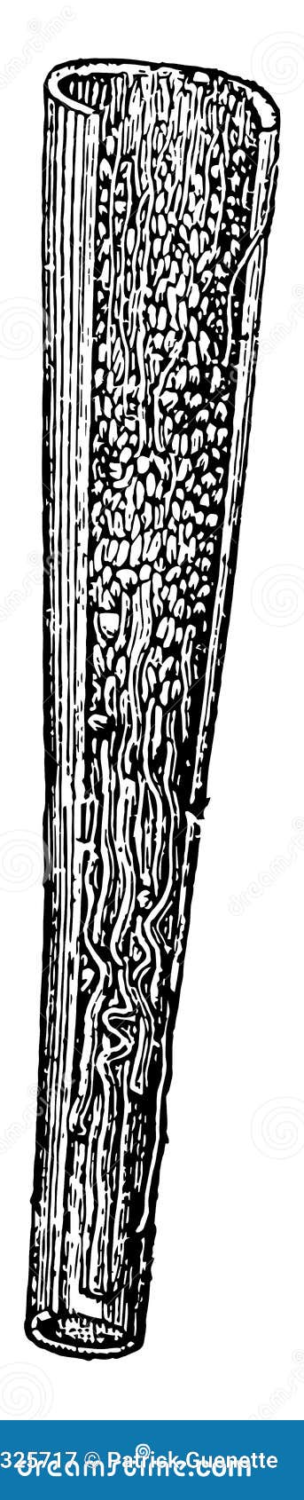 Vmmemwsl Grows Very Large And Basically Kills Windows – YLEAV