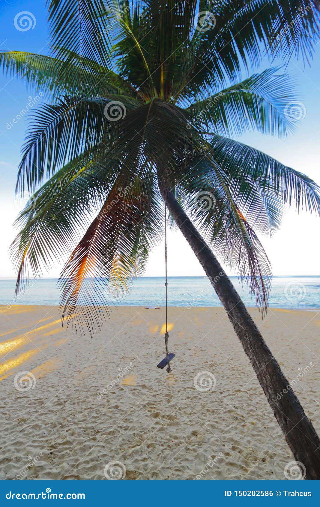 Coconut Tree and View of Andaman Ocean Stock Photo - Image of sand ...