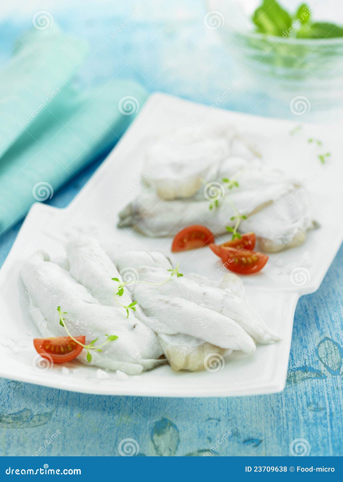 Cocochas stock photo. Image of blue, color, hake, fish - 23709638