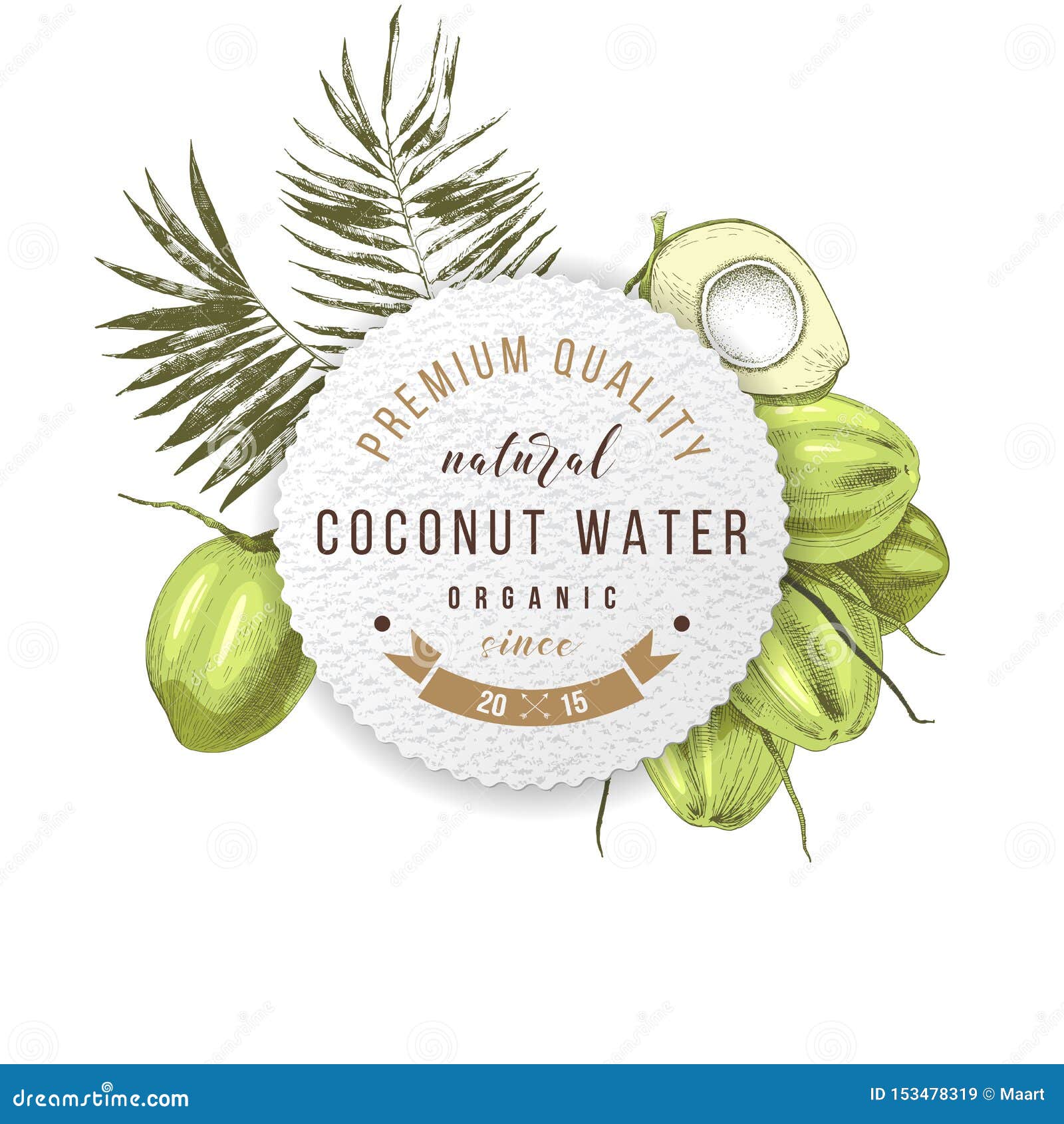 Cococnut Water Label Over Hand Drawn Green Coconuts with Leaves. Stock ...