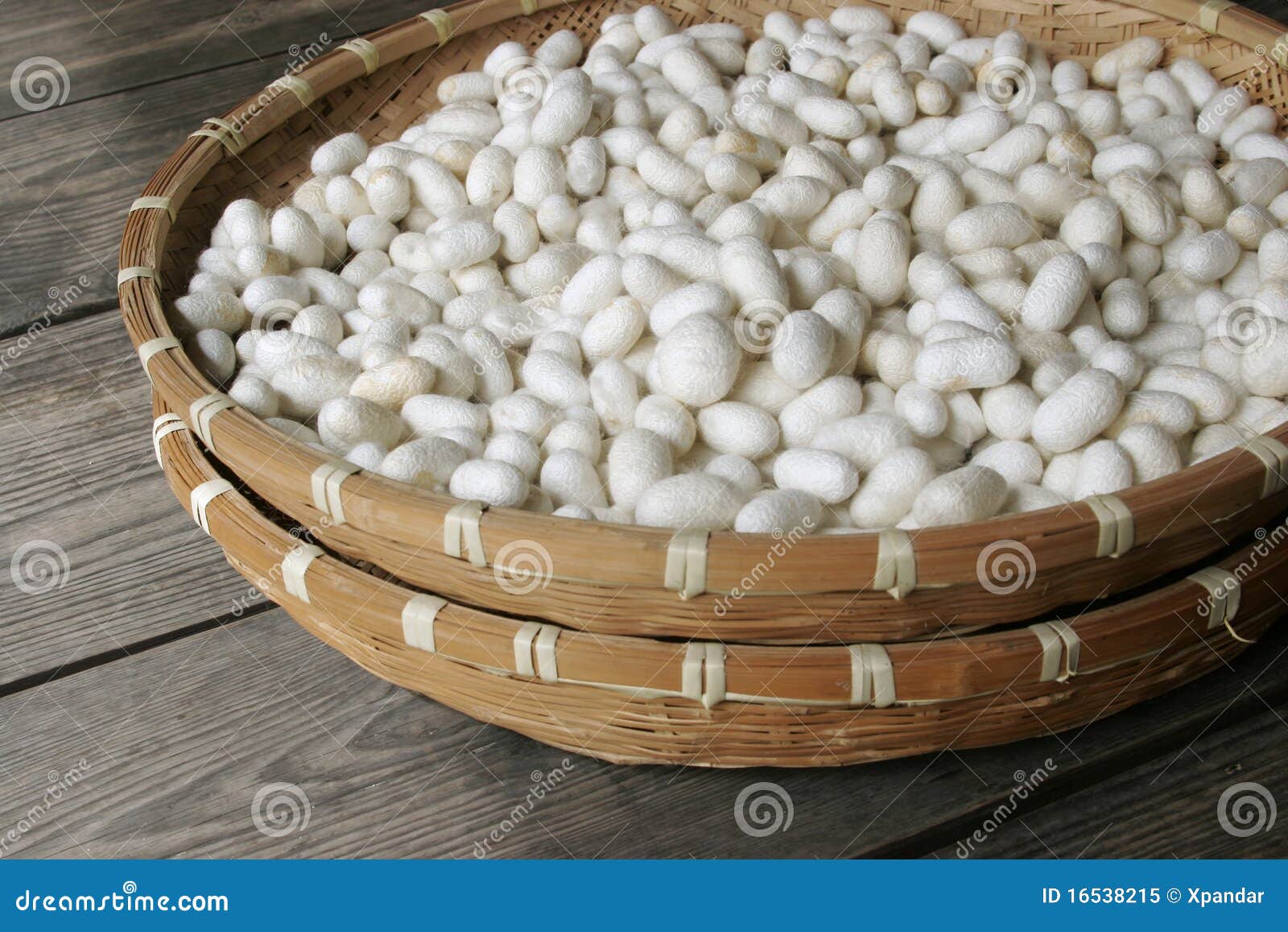 Cocon image stock. Image du cocon, textile, cosse, silkworm - 16538215