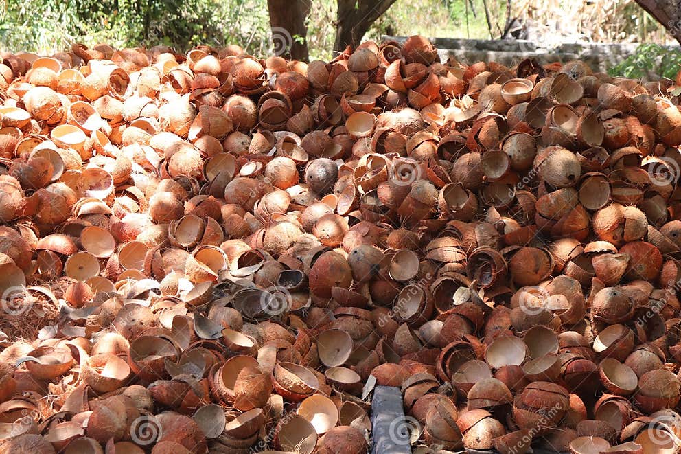Coconat Cell for Briket stock image. Image of briket - 292215711