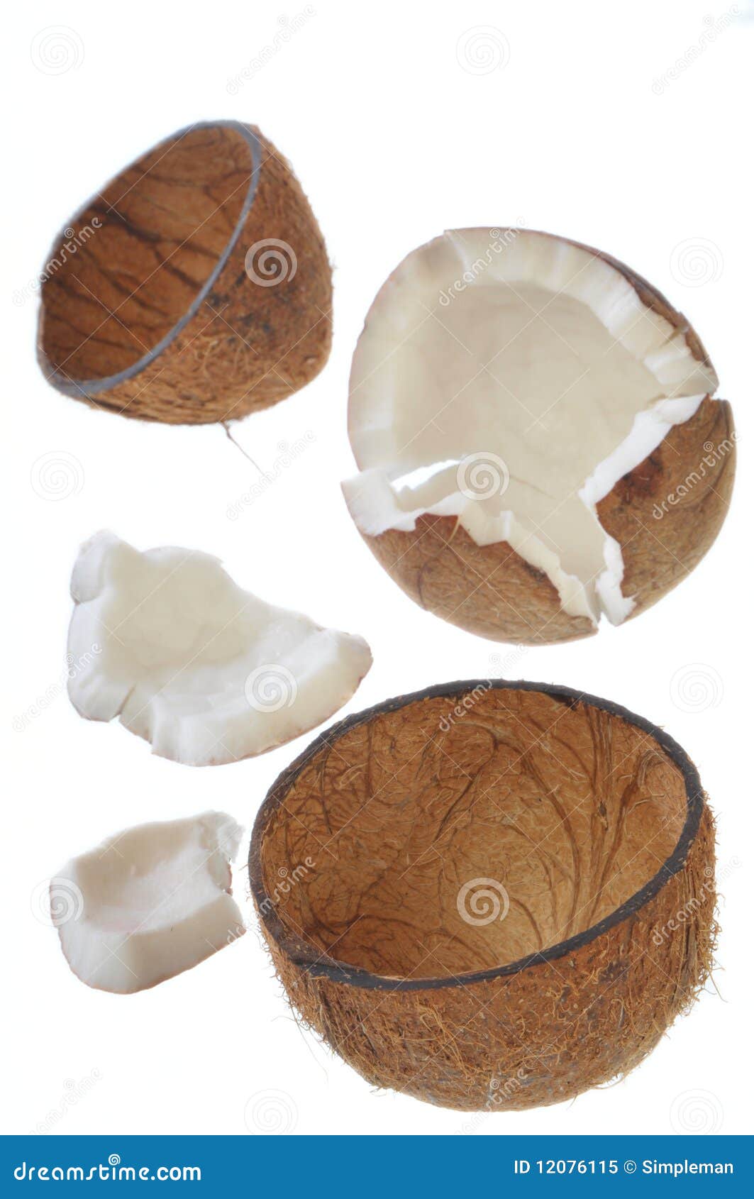Coconut stock image. Image of freshness, brown, portion - 12076115