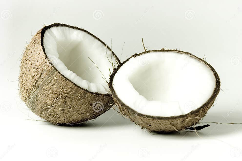 Coconut 2 stock photo. Image of broke, isolated, nature - 762558