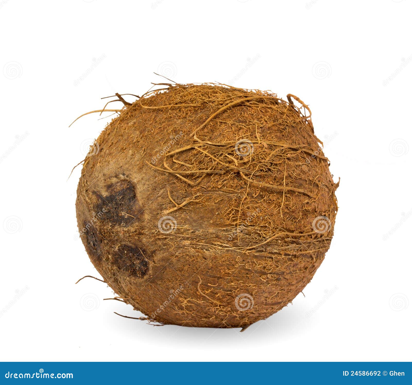 Coconut stock photo. Image of healthy, cleaved, natural - 24586692