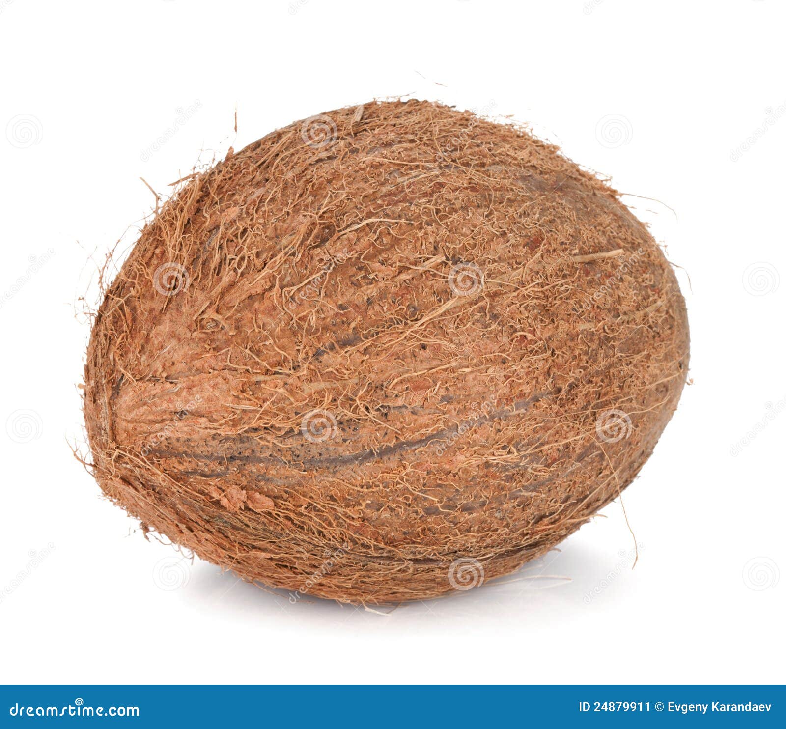 Coconut stock image. Image of round, object, cocoa, coco - 24879911