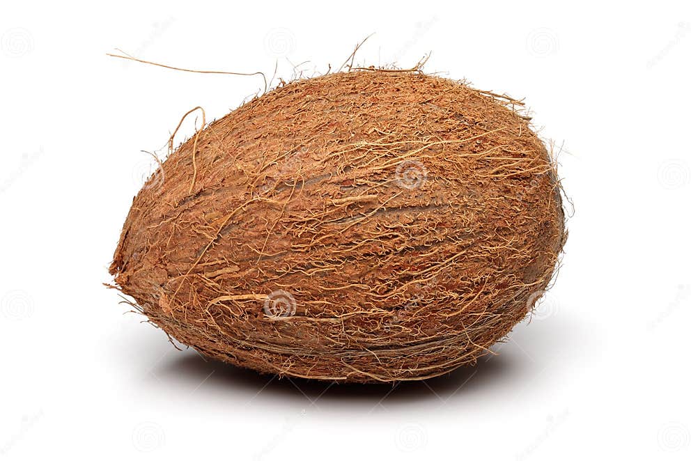 Coconut stock image. Image of hard, details, coco, nutrition - 25255491