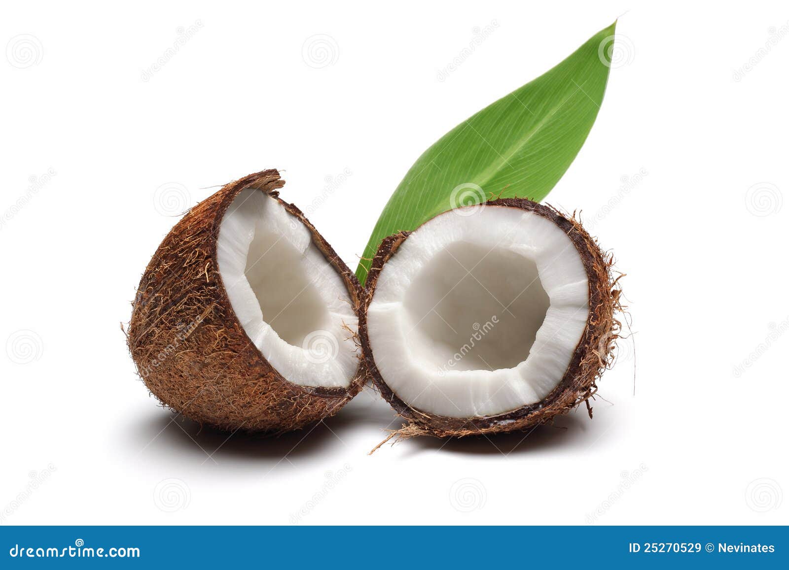 Coconut stock image. Image of coconuts, broken, diet - 25270529