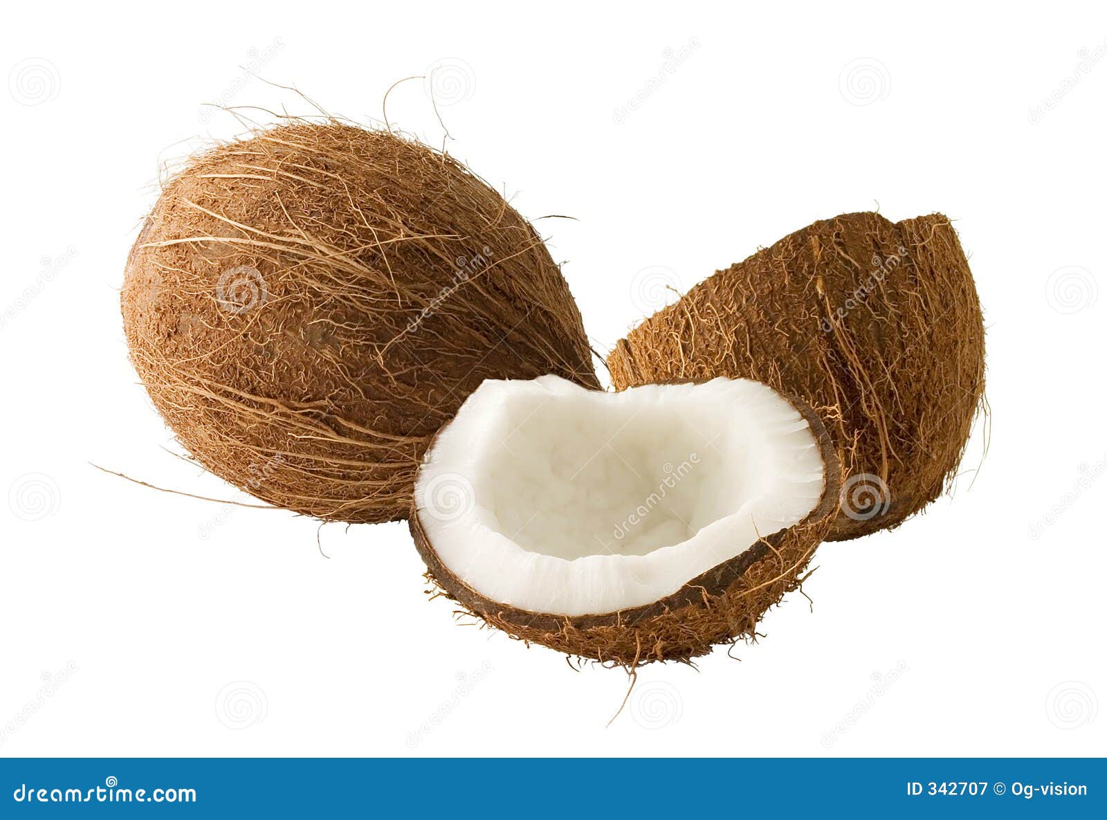 Coconut stock image. Image of palm, broken, fruits, hard - 342707