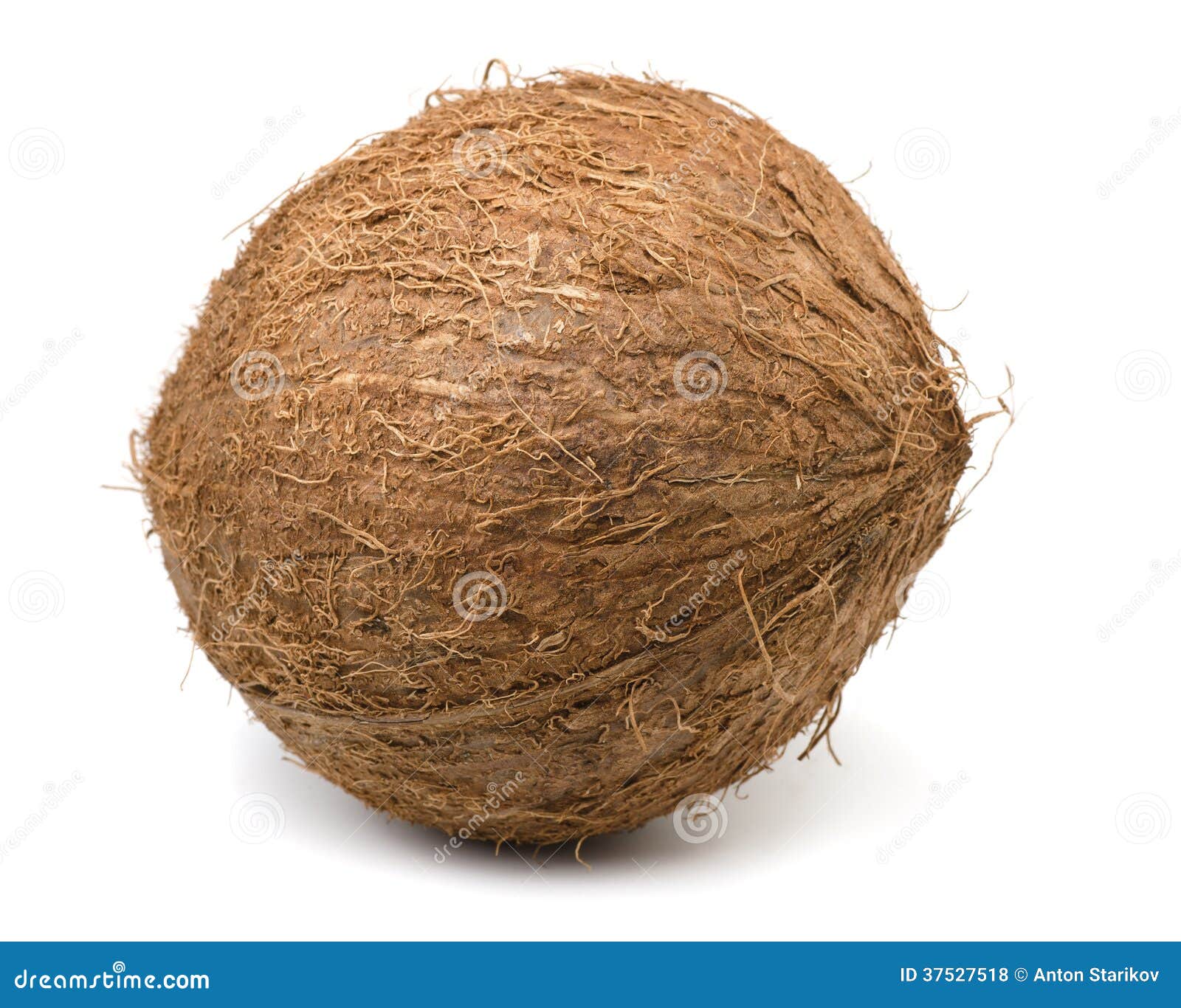 Coconut stock photo. Image of fruit, background, fiber - 37527518