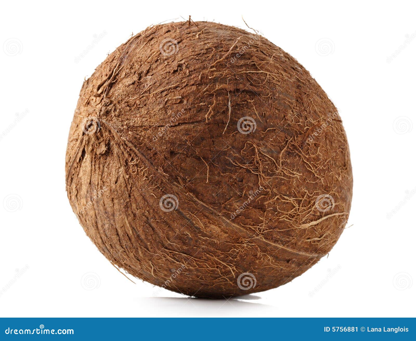 Coconut stock image. Image of healthy, coconut, cutout - 5756881