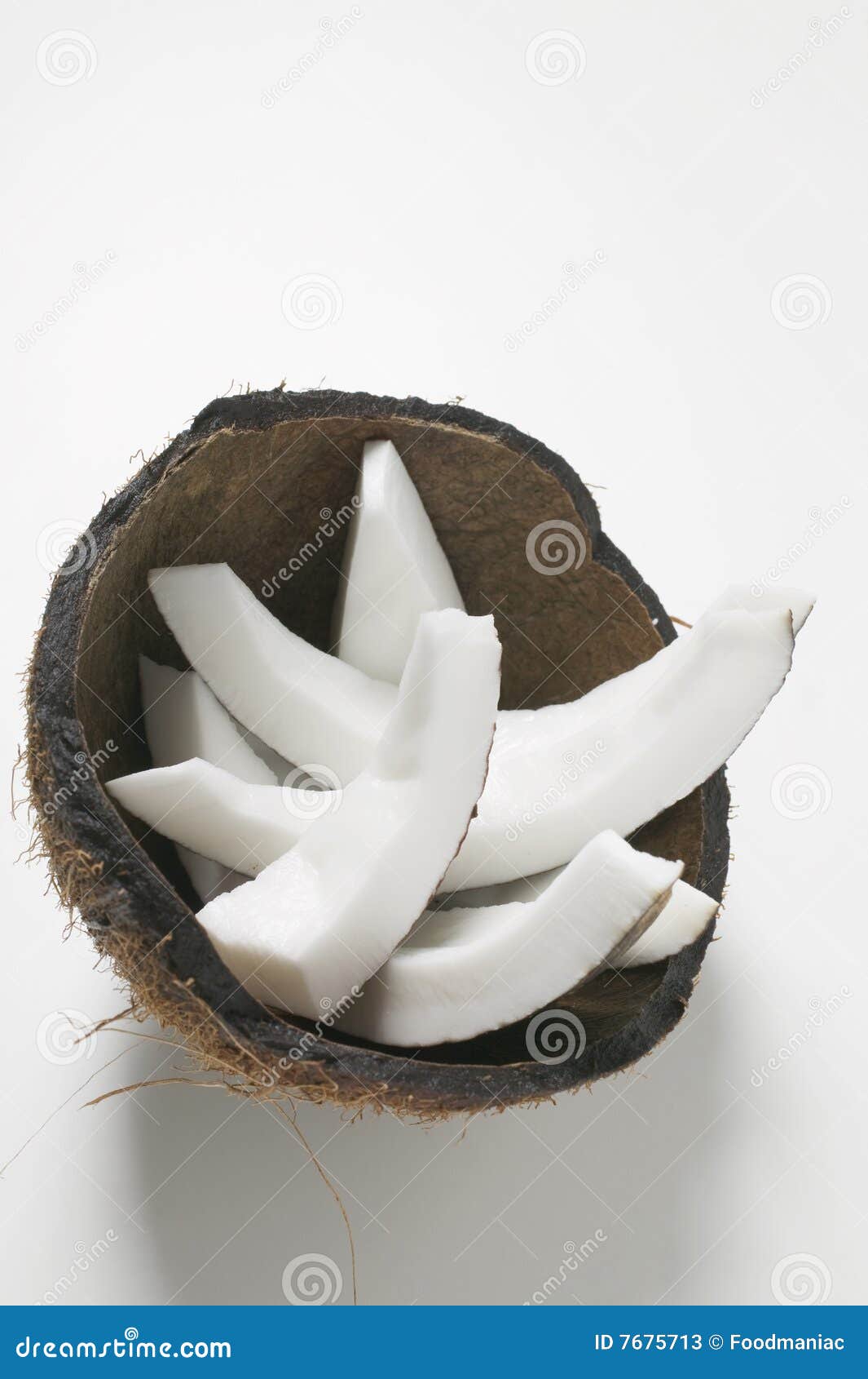 Nutshell Outline Stock Photos - Free & Royalty-Free Stock Photos from ...