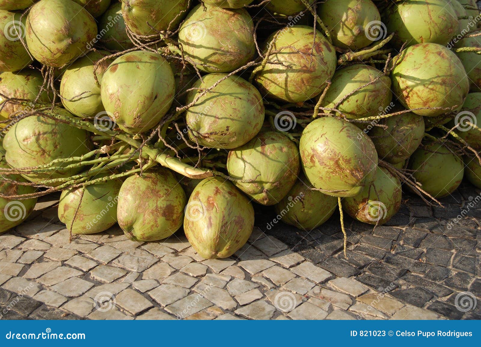 Coconut stock image. Image of fruit, copacabana, janeiro - 821023