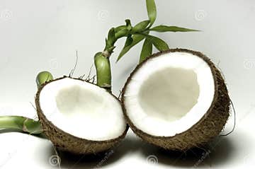 Coconut 9 stock photo. Image of diet, round, shell, fruits - 762614