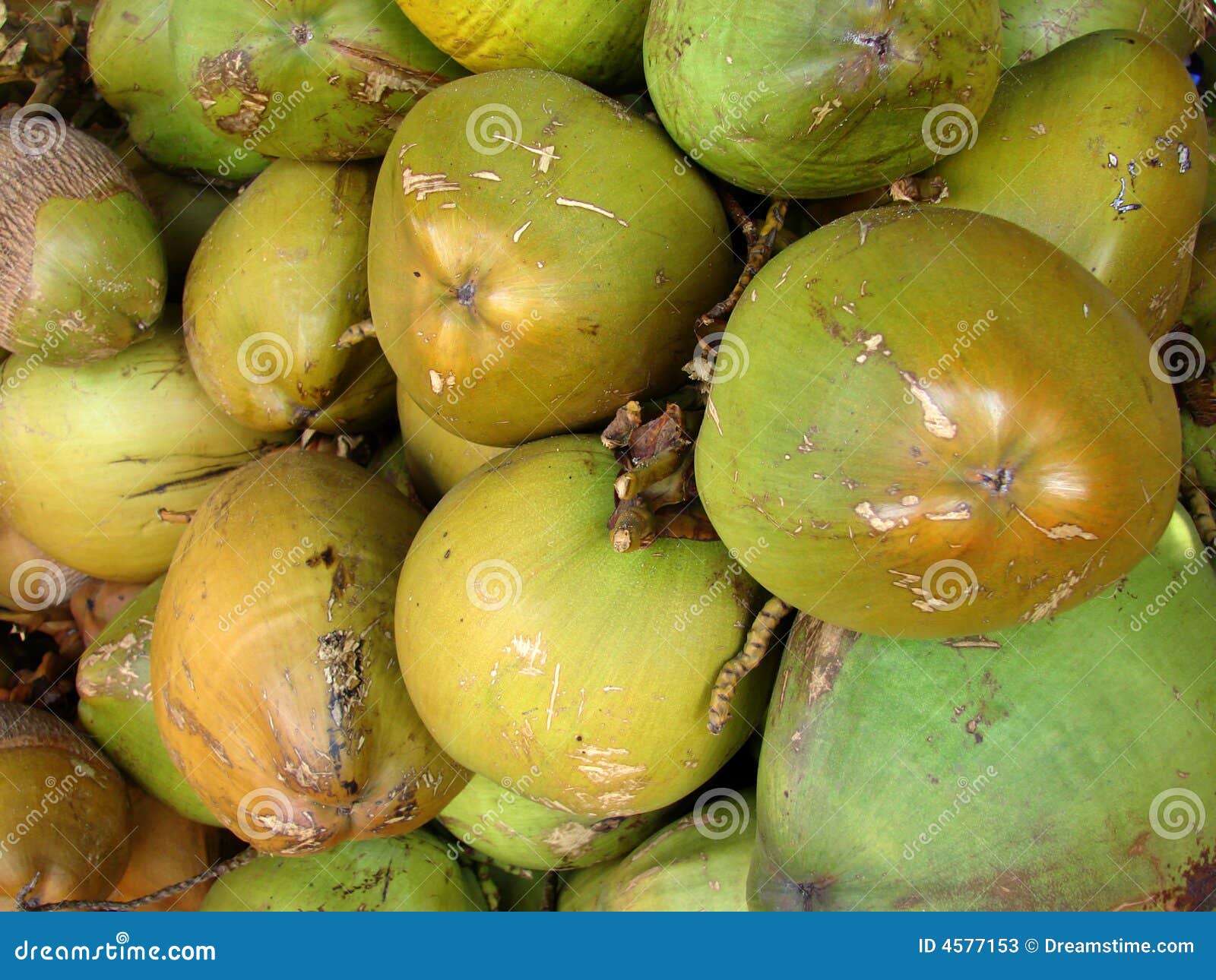 Coconut abstract stock image. Image of green, fresh, healthy - 4577153