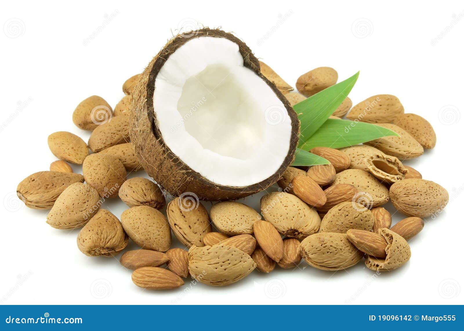 Coconut and almond stock photo. Image of seasonal, almond - 19096142