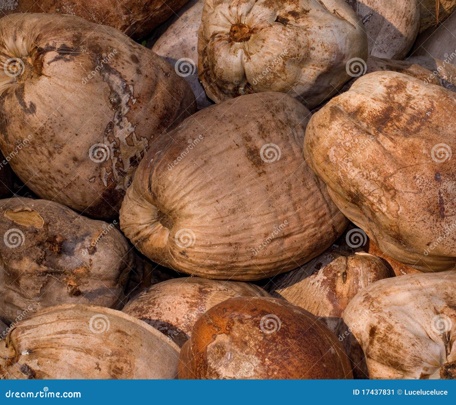 Coconut Background stock image. Image of food, fruit - 17437831